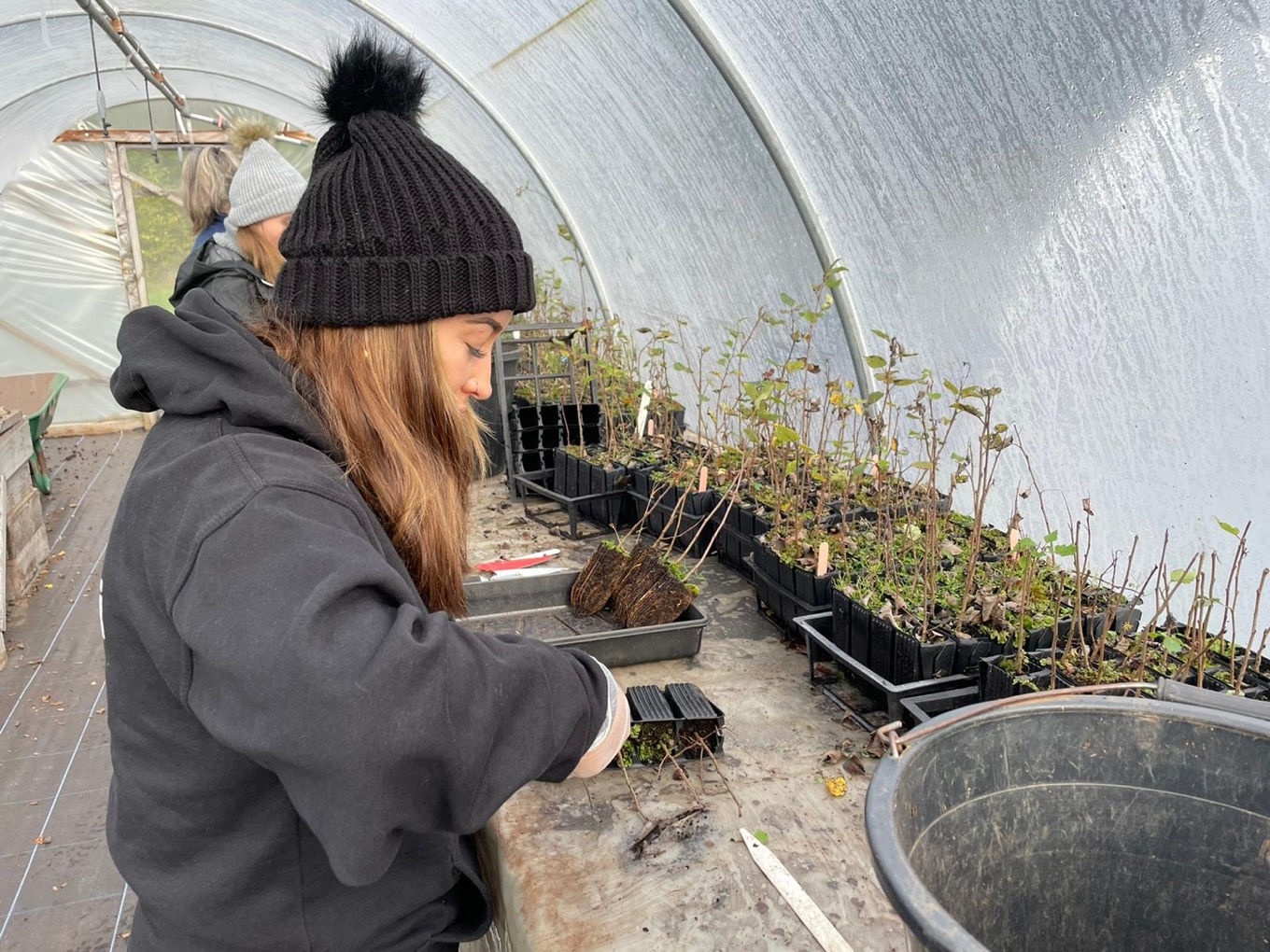 SWARCO Smart Charging Supports Trees for Life to Create a Greener ...